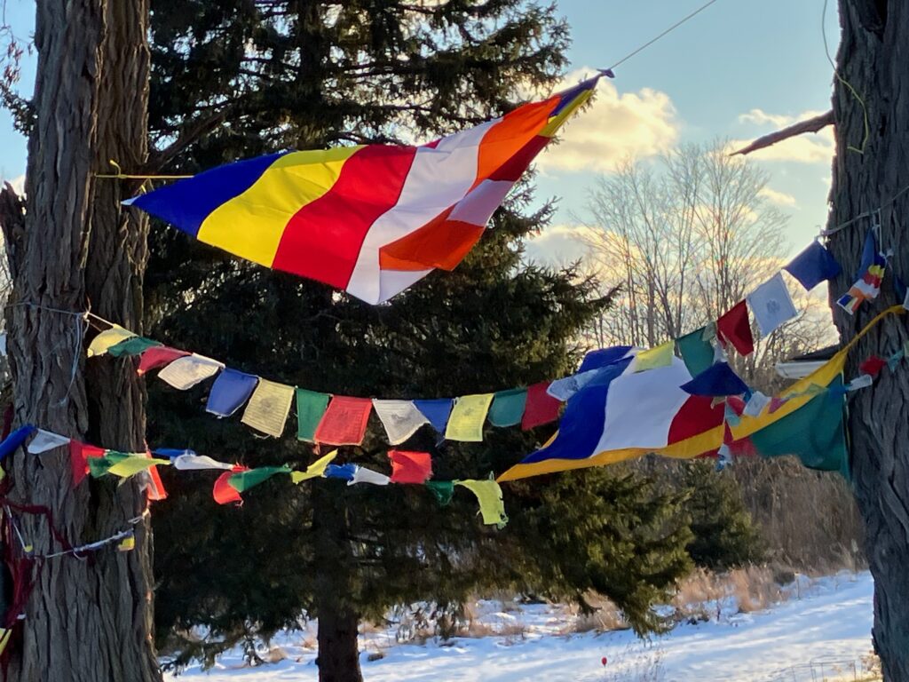 Sati Saraniya Hermitage – Buddhist Women on a Path of Spiritual Awakening